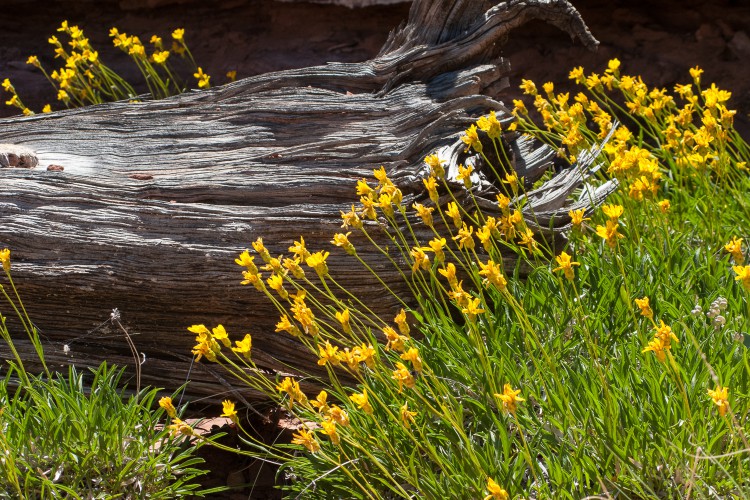 Green River, Canyonlands, Utah, May 2016 – Frontrange Imaging